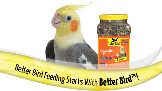 Better Bird | Maximum Nutrition for a Variety of Wild Birds