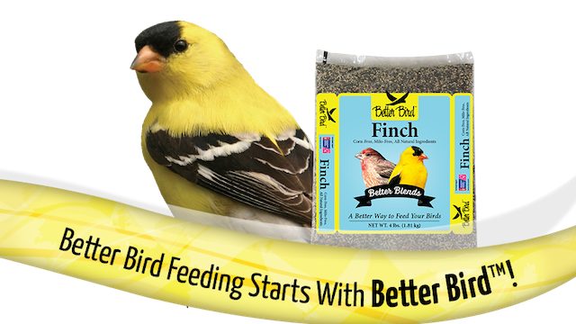 Better Bird | Maximum Nutrition for a Variety of Wild Birds