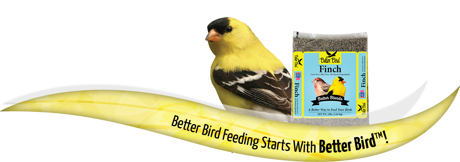 Better Bird | Maximum Nutrition for a Variety of Wild Birds